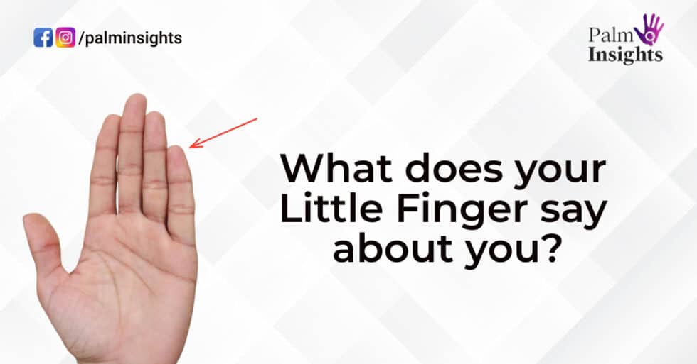 Little Finger | Palm Insights