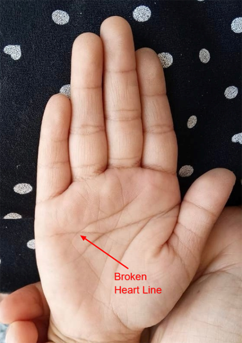 Heart Line In Palmistry: 5 Things It Can Reveal About Your Love Life