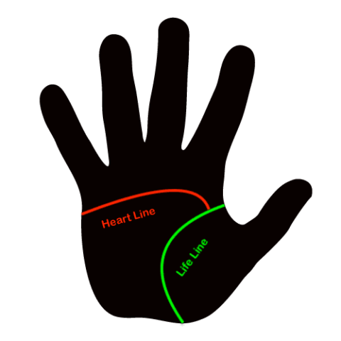 Heart Line In Palmistry: 5 Things It Can Reveal About Your Love Life