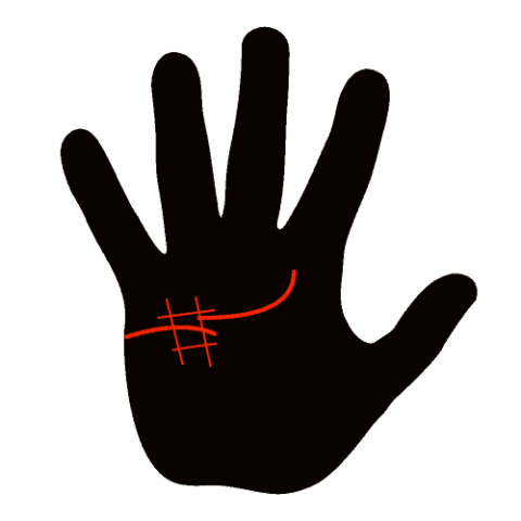 Heart Line In Palmistry: 5 Things It Can Reveal About Your Love Life