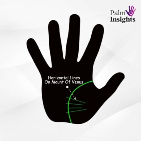 Mount Of Venus In Palmistry: A Quick And Easy Guide!