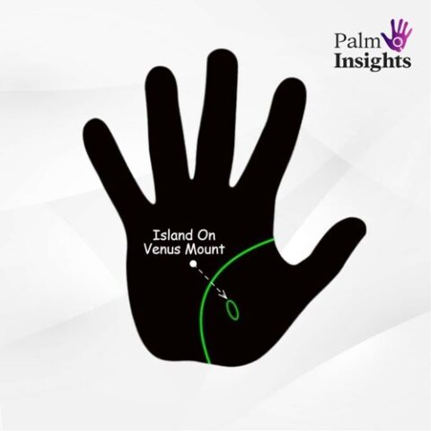 Mount Of Venus In Palmistry: A Quick And Easy Guide!