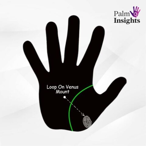 Mount Of Venus In Palmistry: A Quick And Easy Guide!