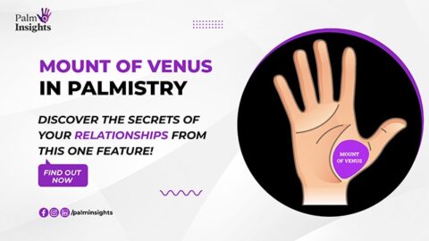 Mount Of Venus In Palmistry: A Quick And Easy Guide!