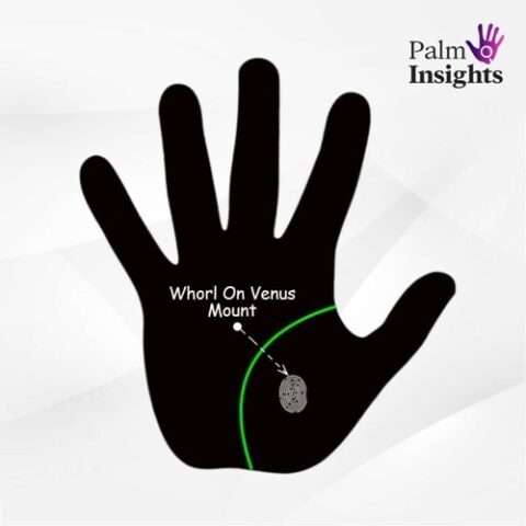 Mount Of Venus In Palmistry: A Quick And Easy Guide!