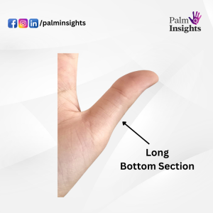 Thumb Reading Palmistry: 6 Easy Steps To Read It Like A Pro - PalmInsights