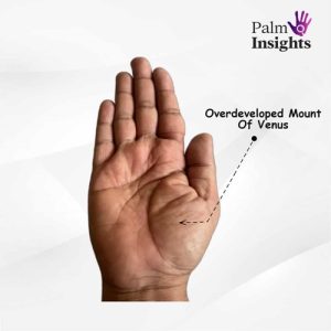 Mount Of Venus In Palmistry: A Quick And Easy Guide! - PalmInsights