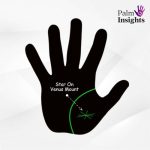 Mount Of Venus In Palmistry: A Quick And Easy Guide! - PalmInsights
