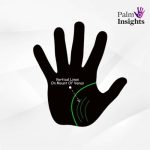 Mount Of Venus In Palmistry: A Quick And Easy Guide! - PalmInsights